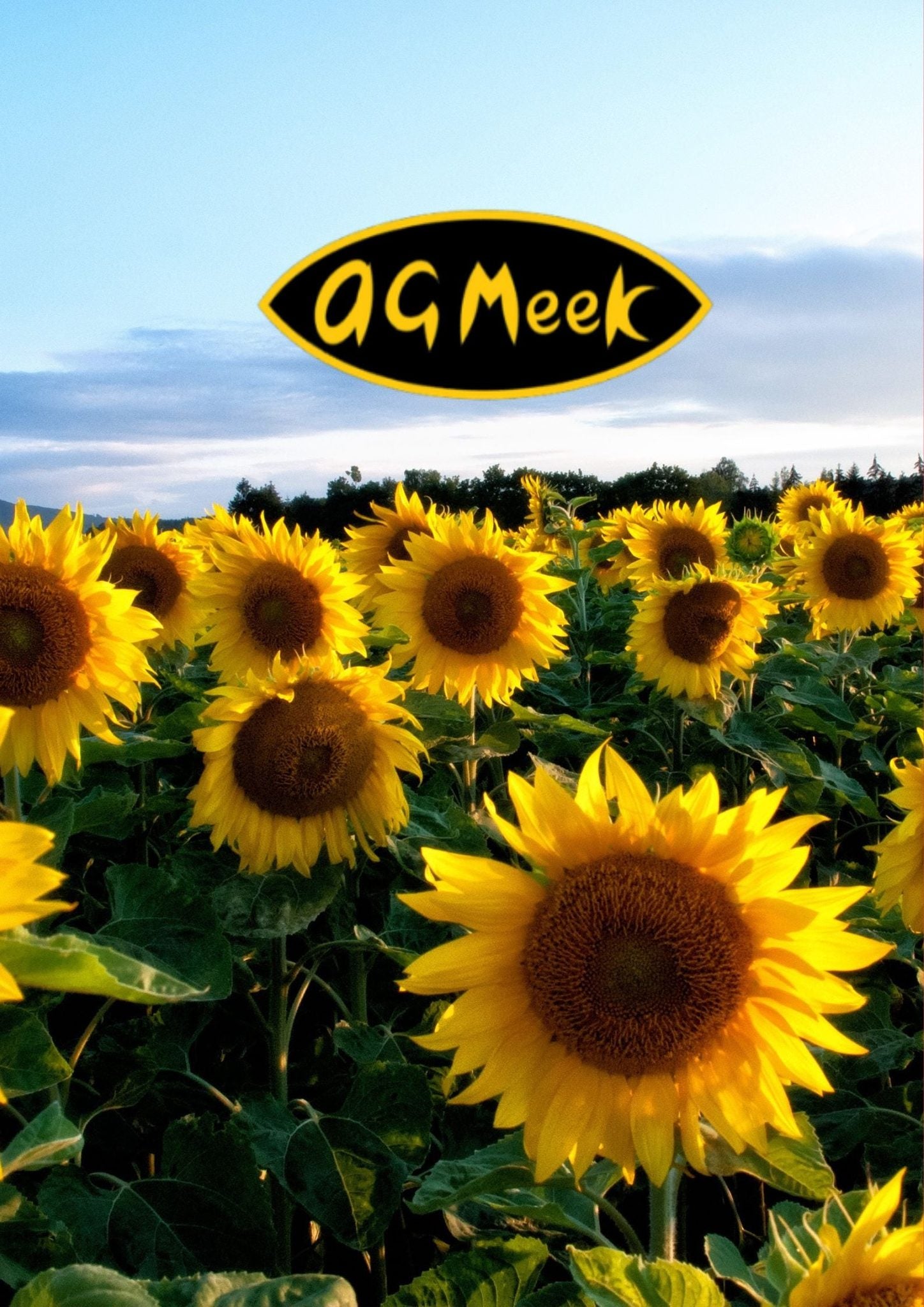 Summer Styles SS25 – A.G. Meek